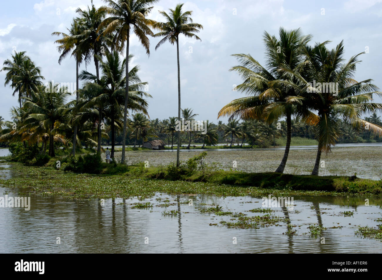 Kuttanad backwaters hi-res stock photography and images - Alamy
