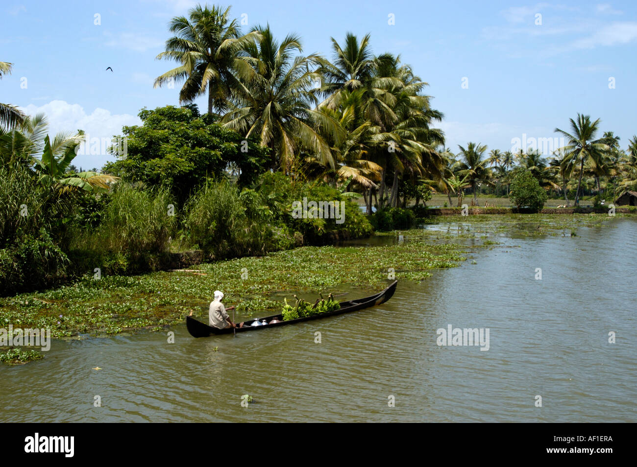 COUNTRY BOAT IN BACKWATERS OF KUTTANAD, ALAPPUZHA Stock Photo - Alamy