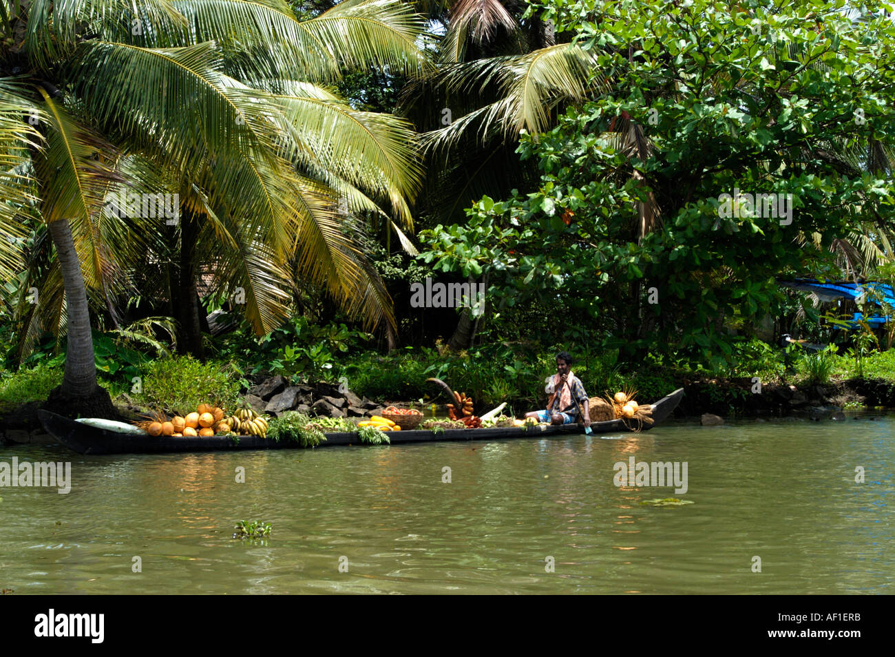 COUNTRY BOAT IN BACKWATERS OF KUTTANAD, ALAPPUZHA Stock Photo - Alamy