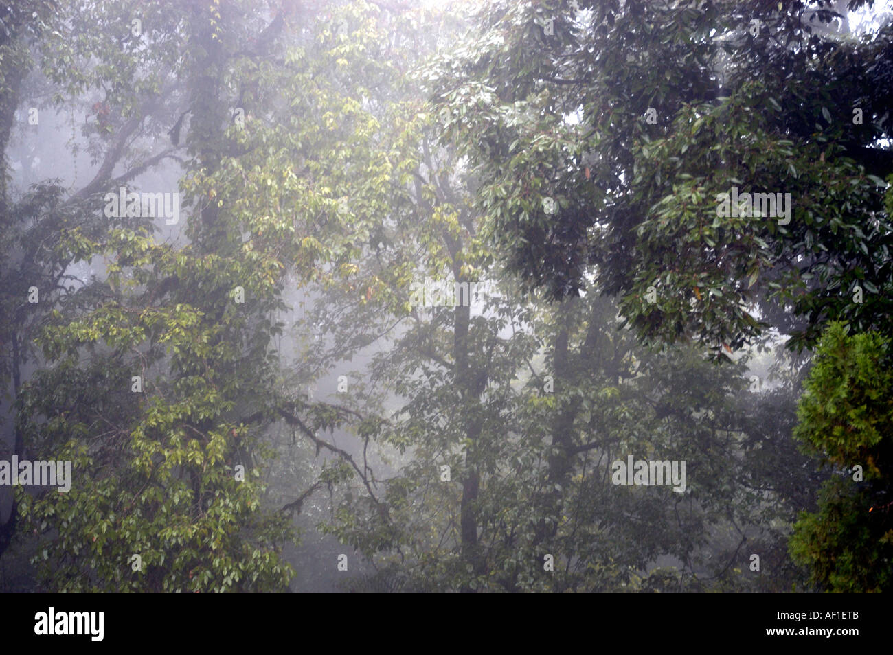 Vapourous hi-res stock photography and images - Alamy