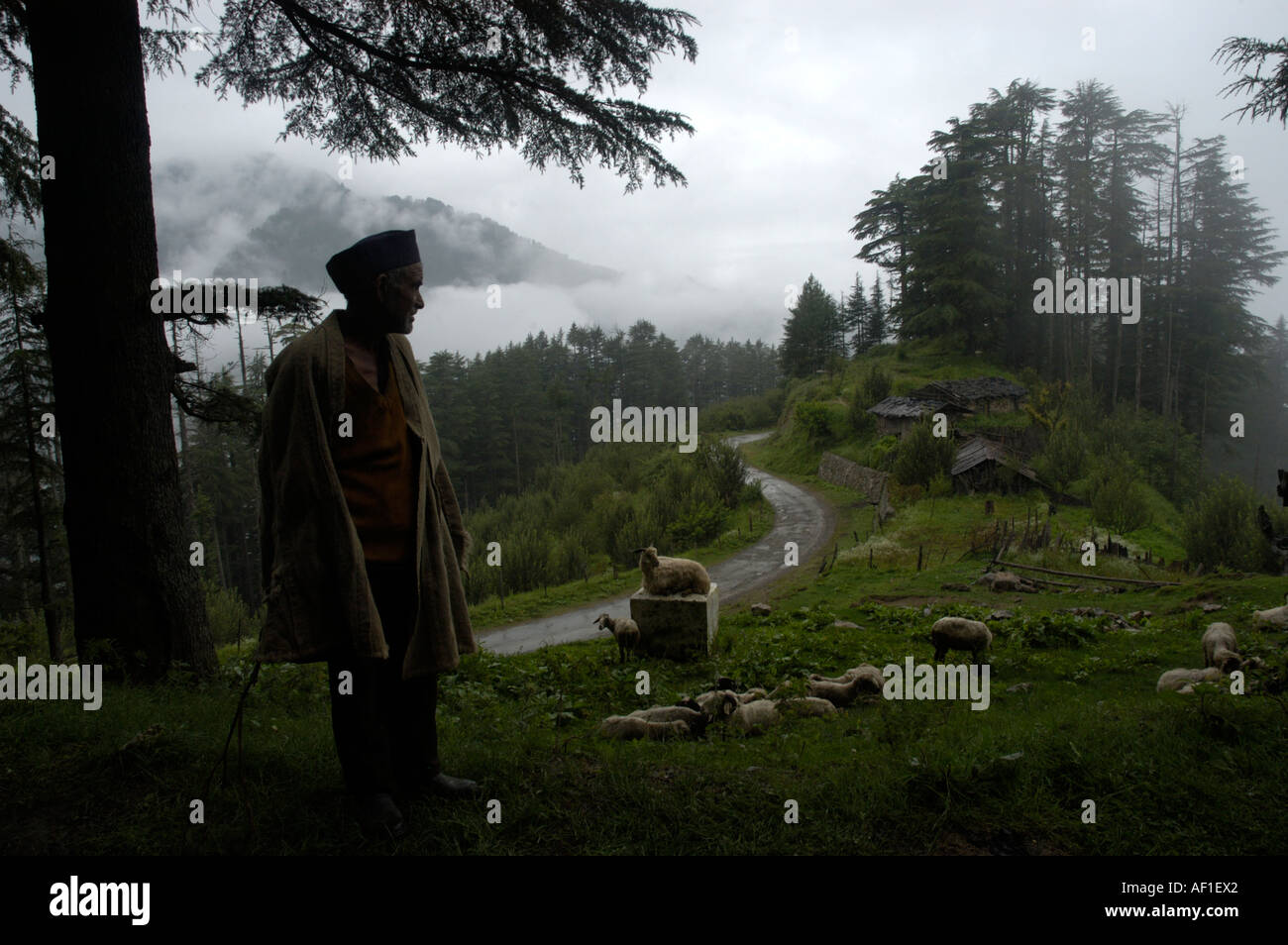 LANDSCAPE OF CHAKRATA IN UTTARANCHAL INDIA Stock Photo - Alamy