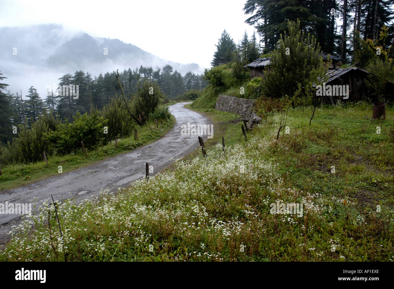 Chakrata hi-res stock photography and images - Alamy
