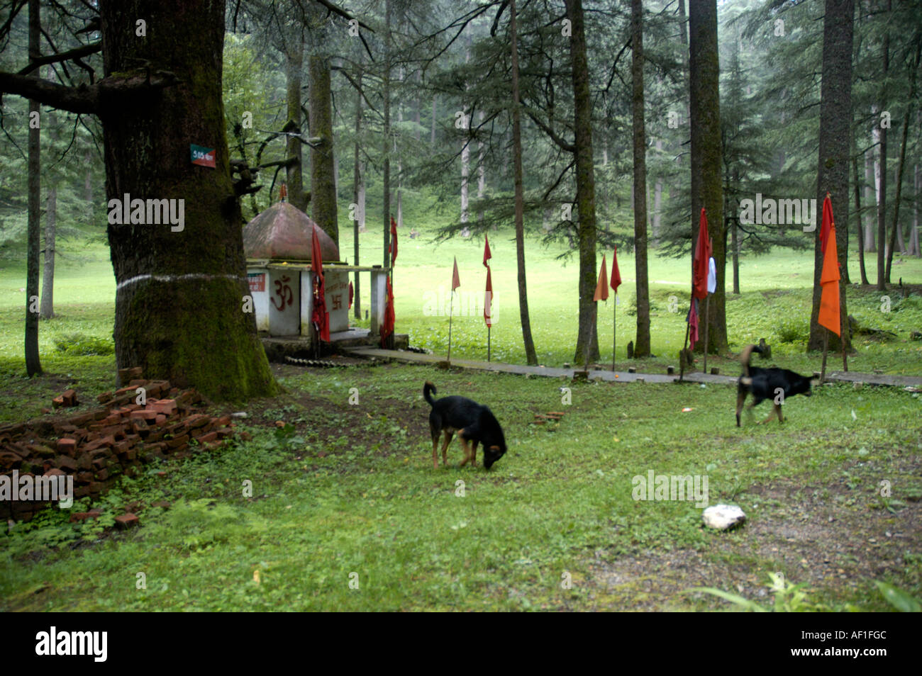 LANDSCAPE OF CHAKRATA IN UTTARANCHAL INDIA Stock Photo - Alamy