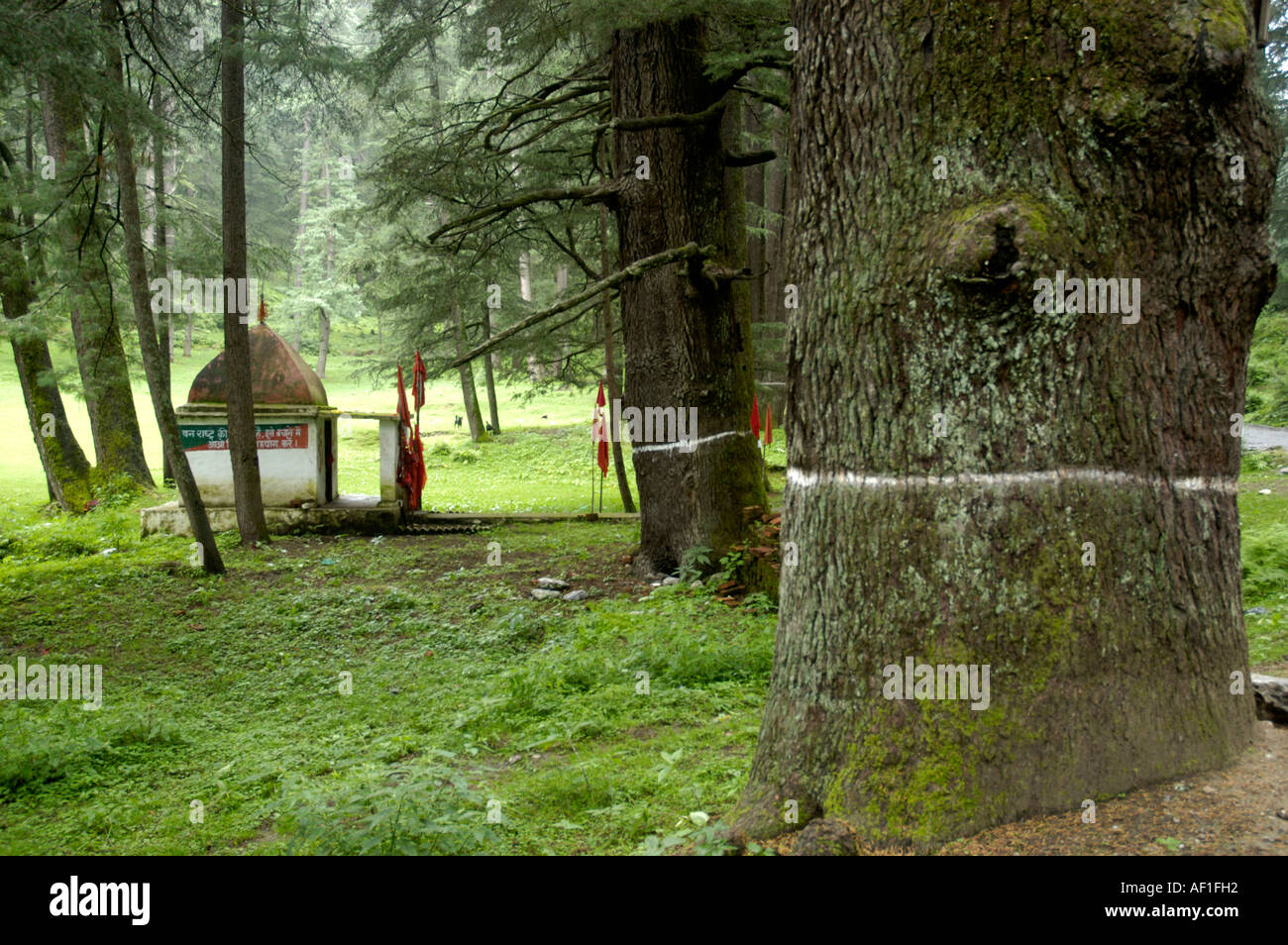 A TEMPLE IN CHAKRATA UTTARANCHAL INDIA Stock Photo - Alamy