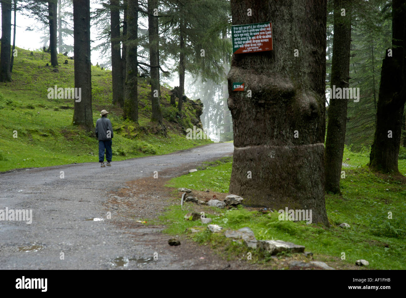 LANDSCAPE OF CHAKRATA IN UTTARANCHAL INDIA Stock Photo - Alamy