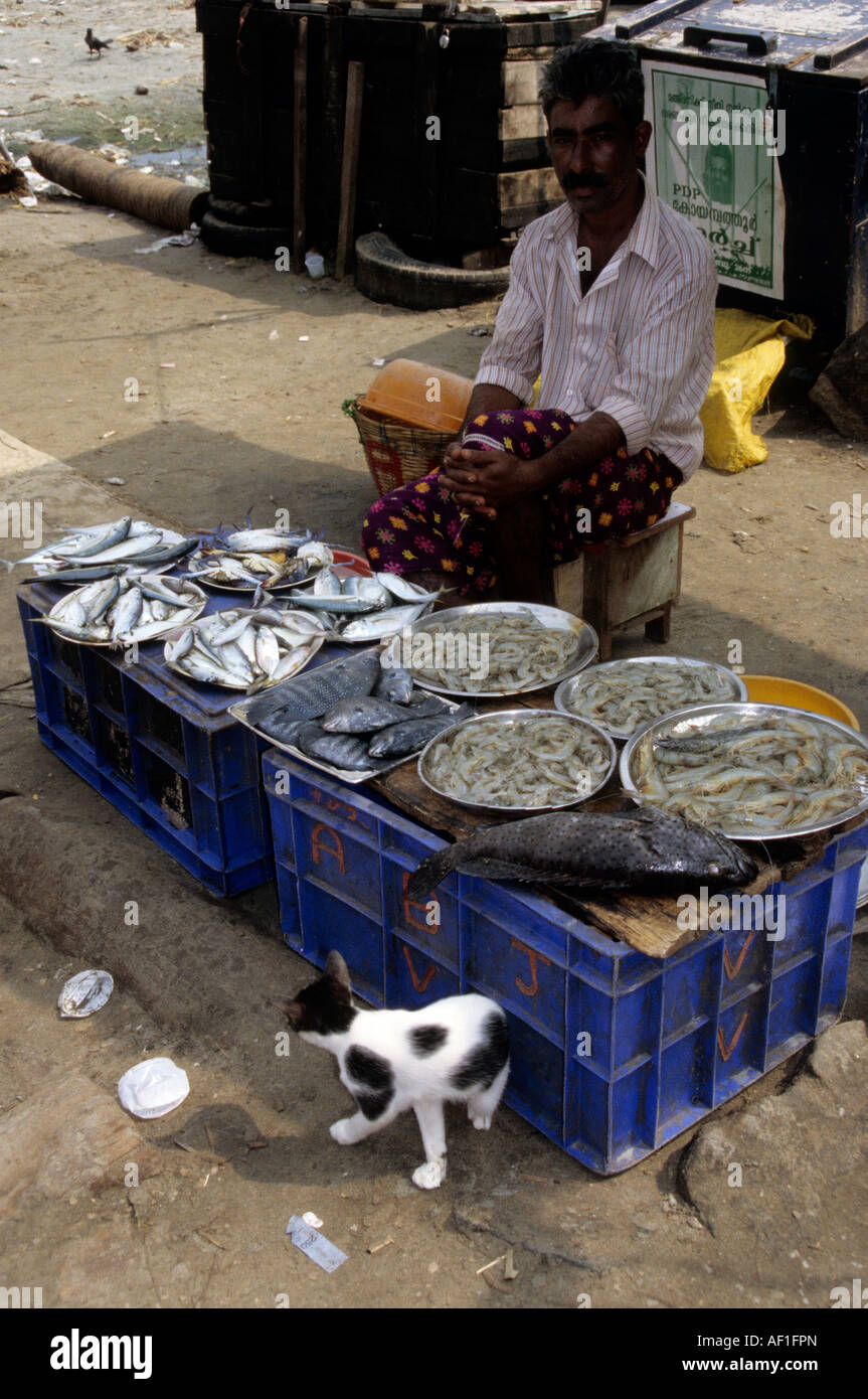 South India Kerala Kochin Fish Market Stock Photo - Alamy