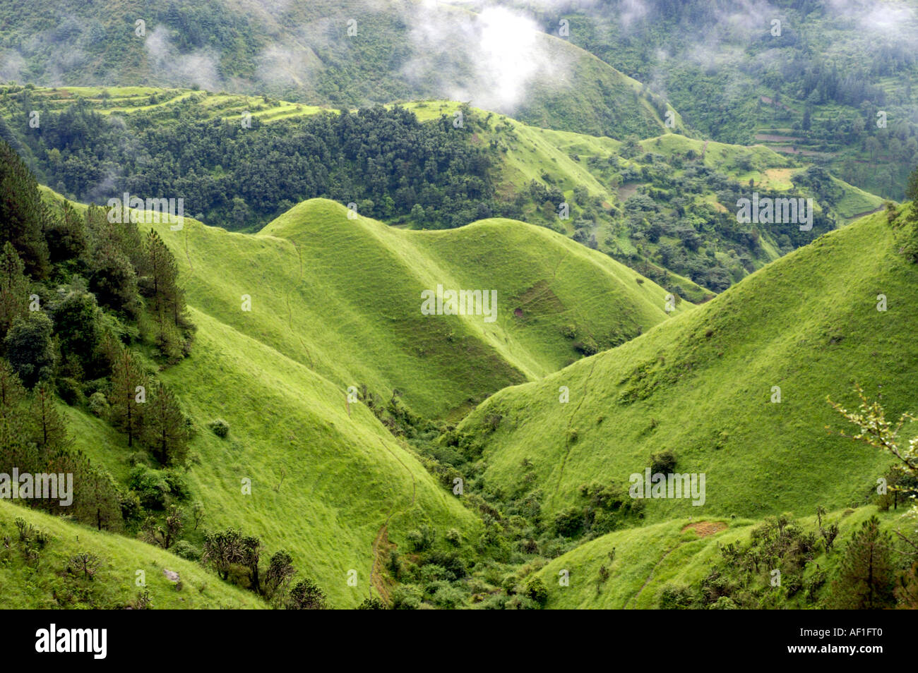 Chakrata hi-res stock photography and images - Alamy