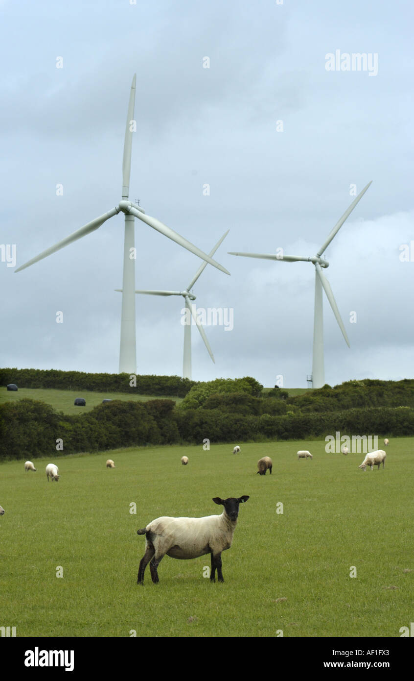 Bearsdown wind farm in cornwall hi-res stock photography and images - Alamy