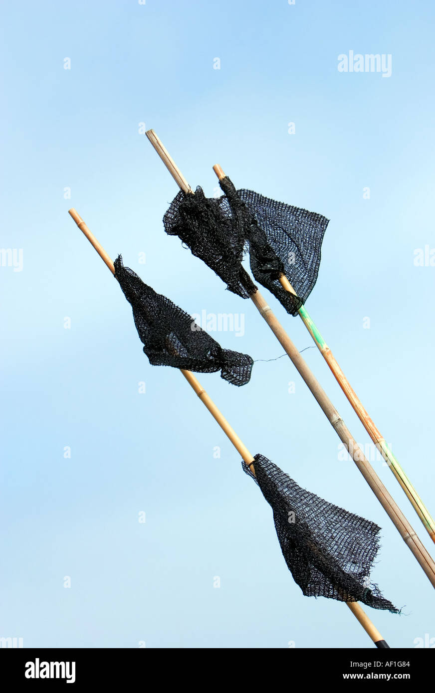 Lobster trap marker flags Stock Photo - Alamy