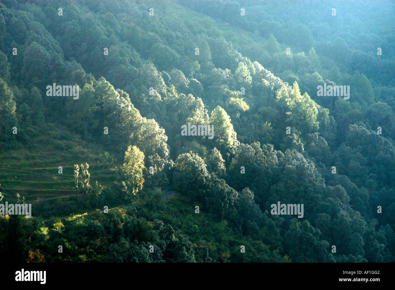 KUMAON LANDSCAPE NEAR MUKTESHWAR IN THE HIMALAYAS Stock Photo - Alamy