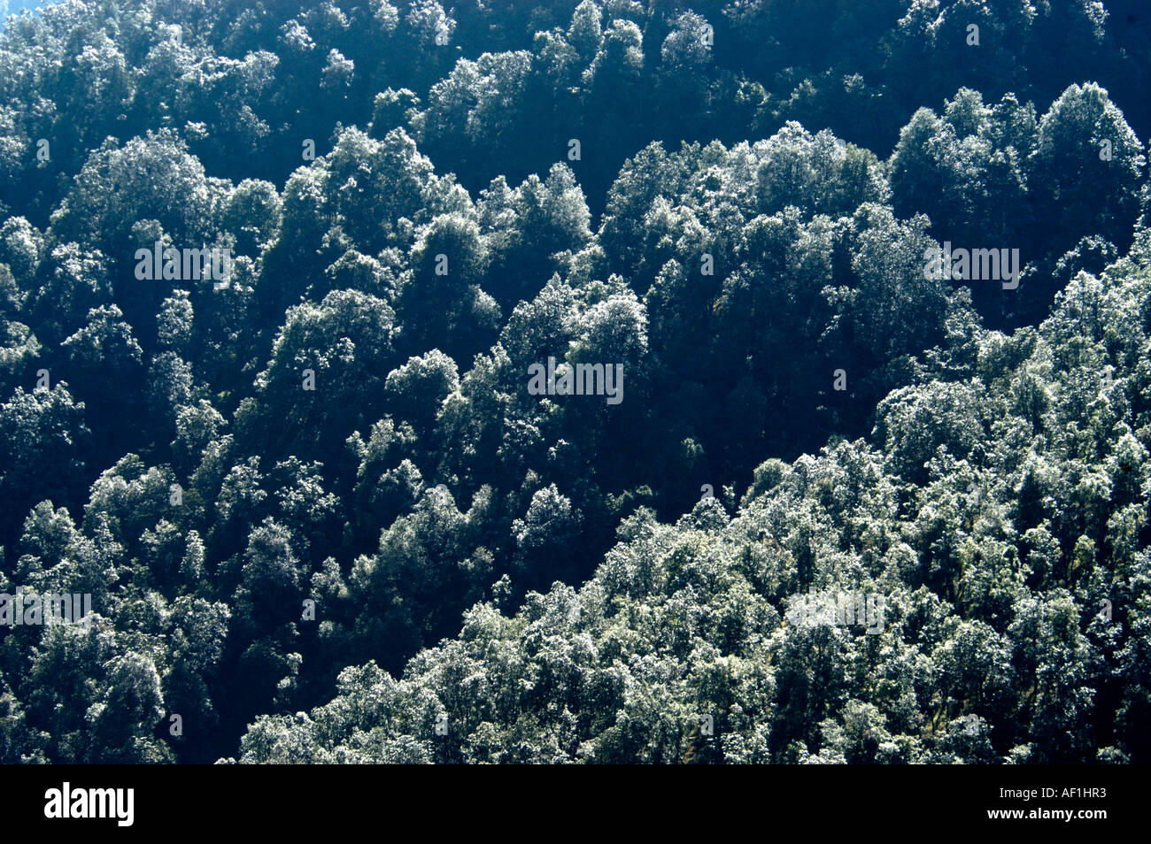 Kumaon ranges hi-res stock photography and images - Alamy