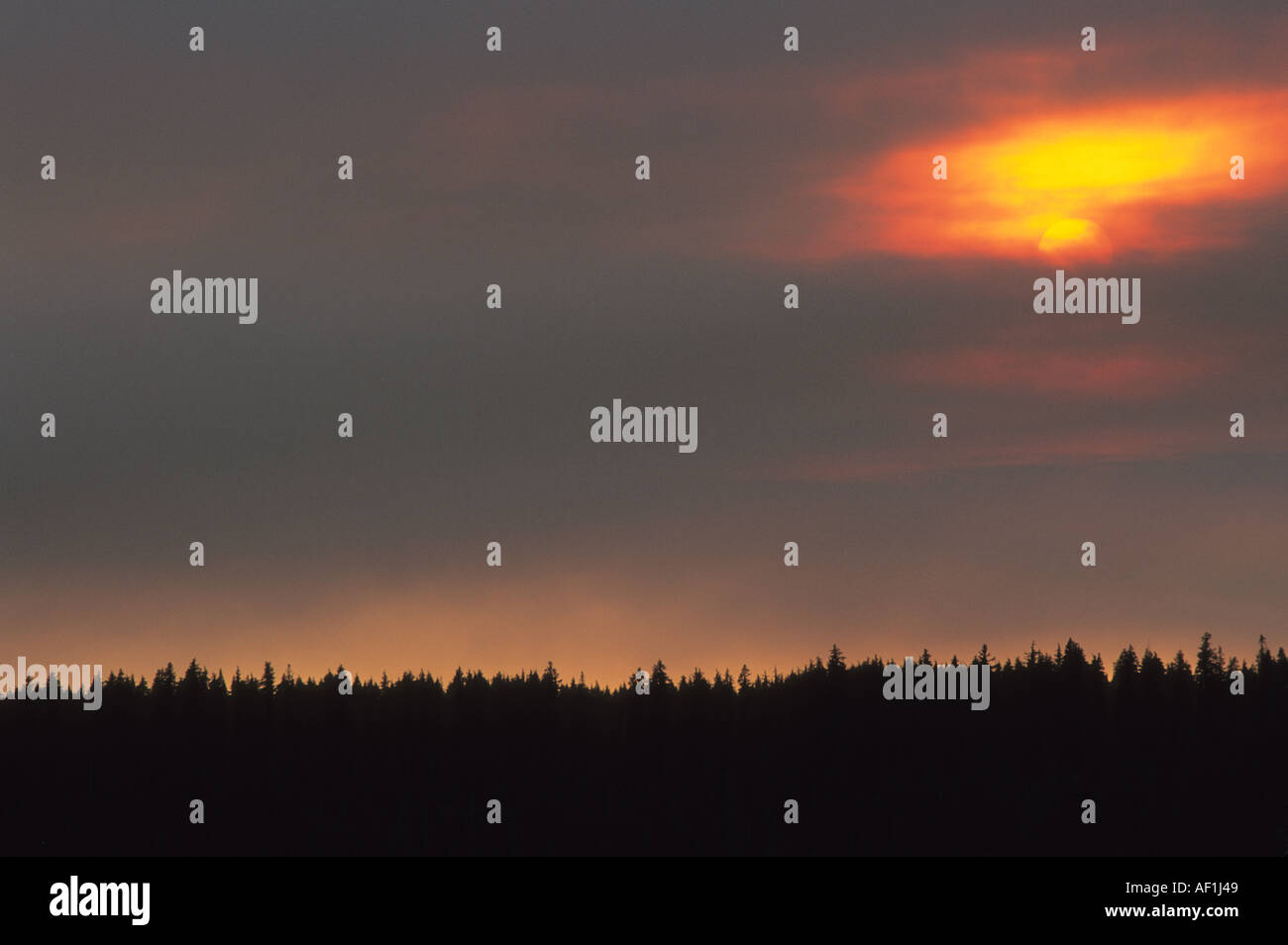 Fire ponds hi-res stock photography and images - Alamy