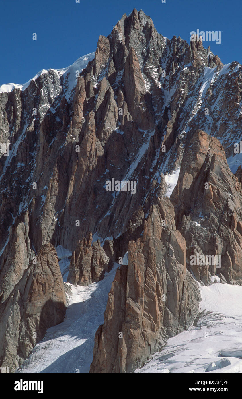 Capucin blanc hi-res stock photography and images - Alamy