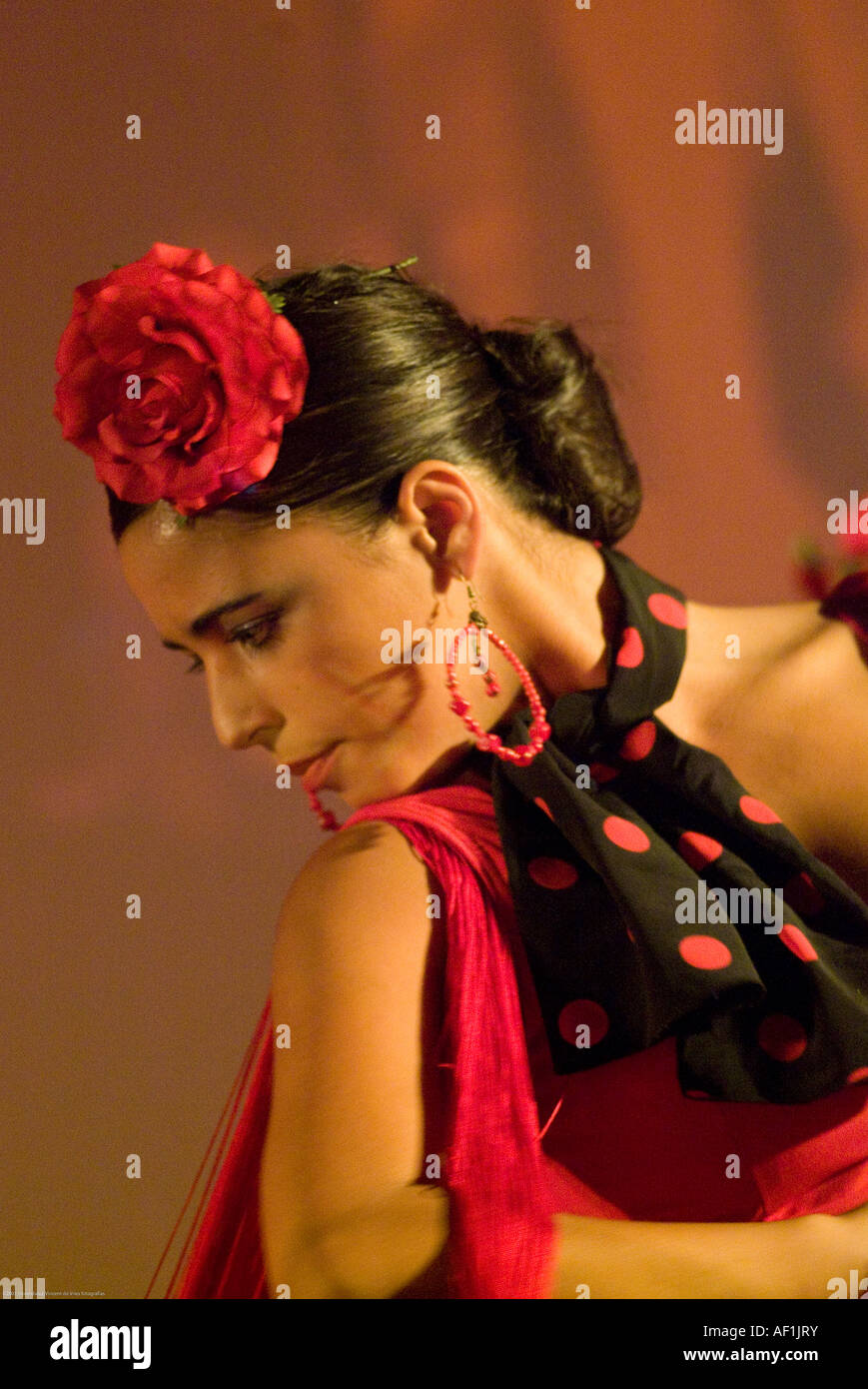 Europe, Spain, Andalucia, Andalusia, Malaga, Seville, Flamenco dance ...