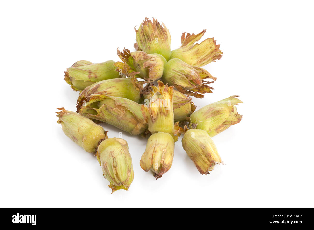 Cobnut hi-res stock photography and images - Alamy