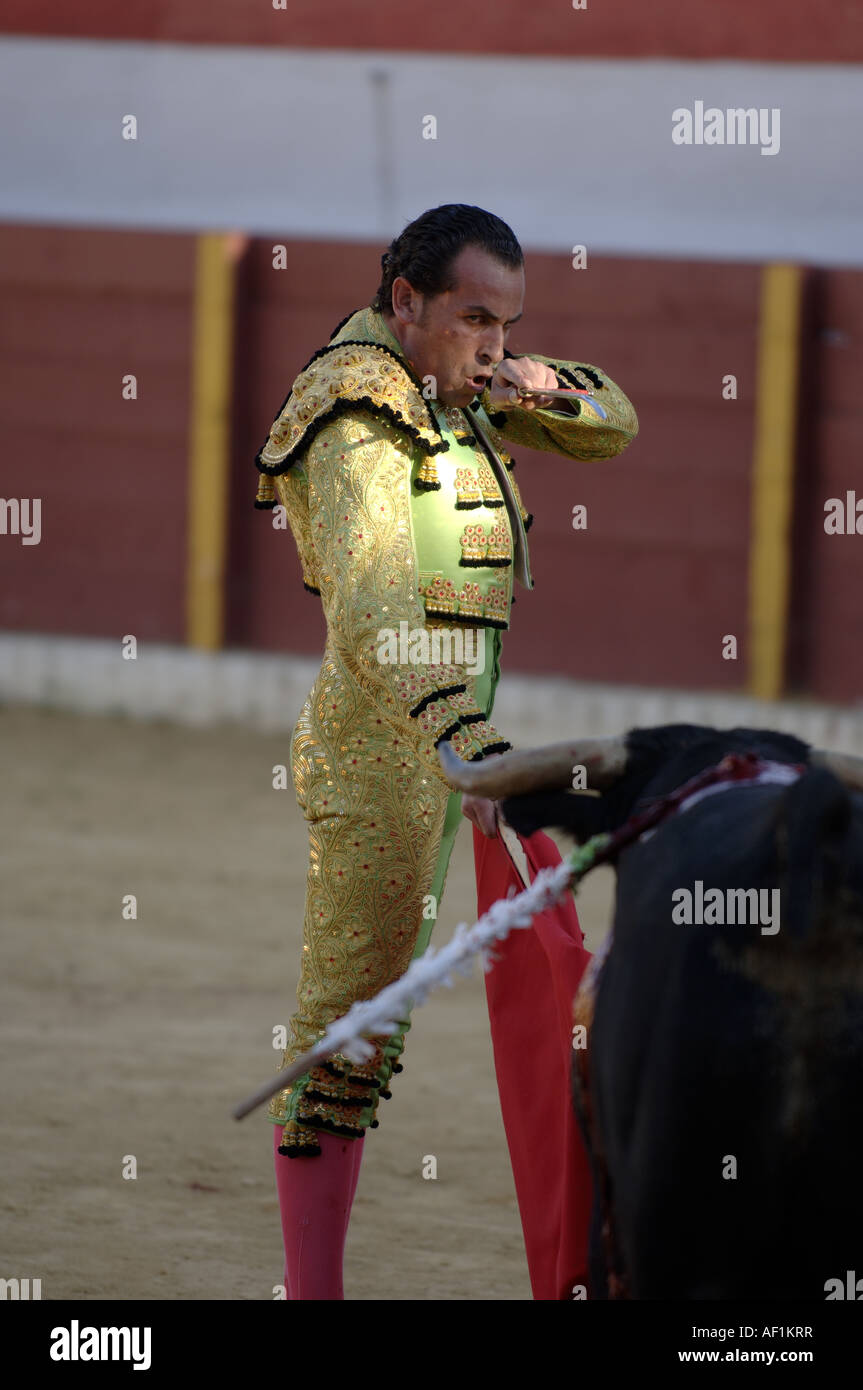 Bullfighter gored hi-res stock photography and images - Alamy