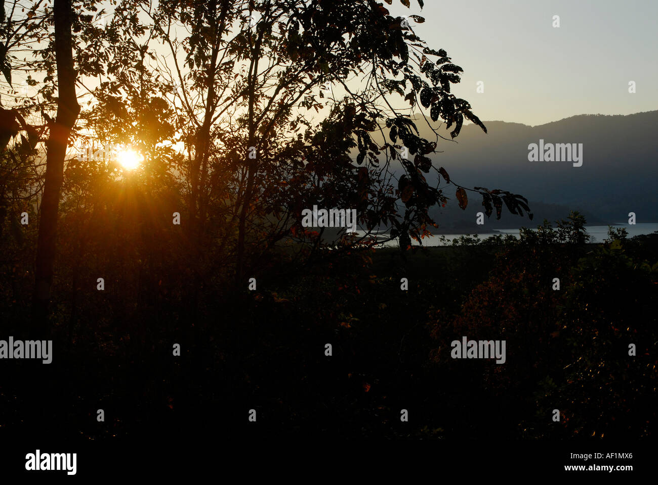 Chimmini wildlife sanctuary hi-res stock photography and images - Alamy