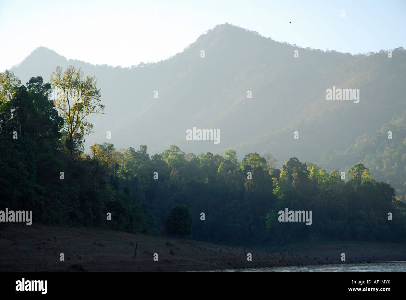 Chimmini wildlife sanctuary hi-res stock photography and images - Alamy