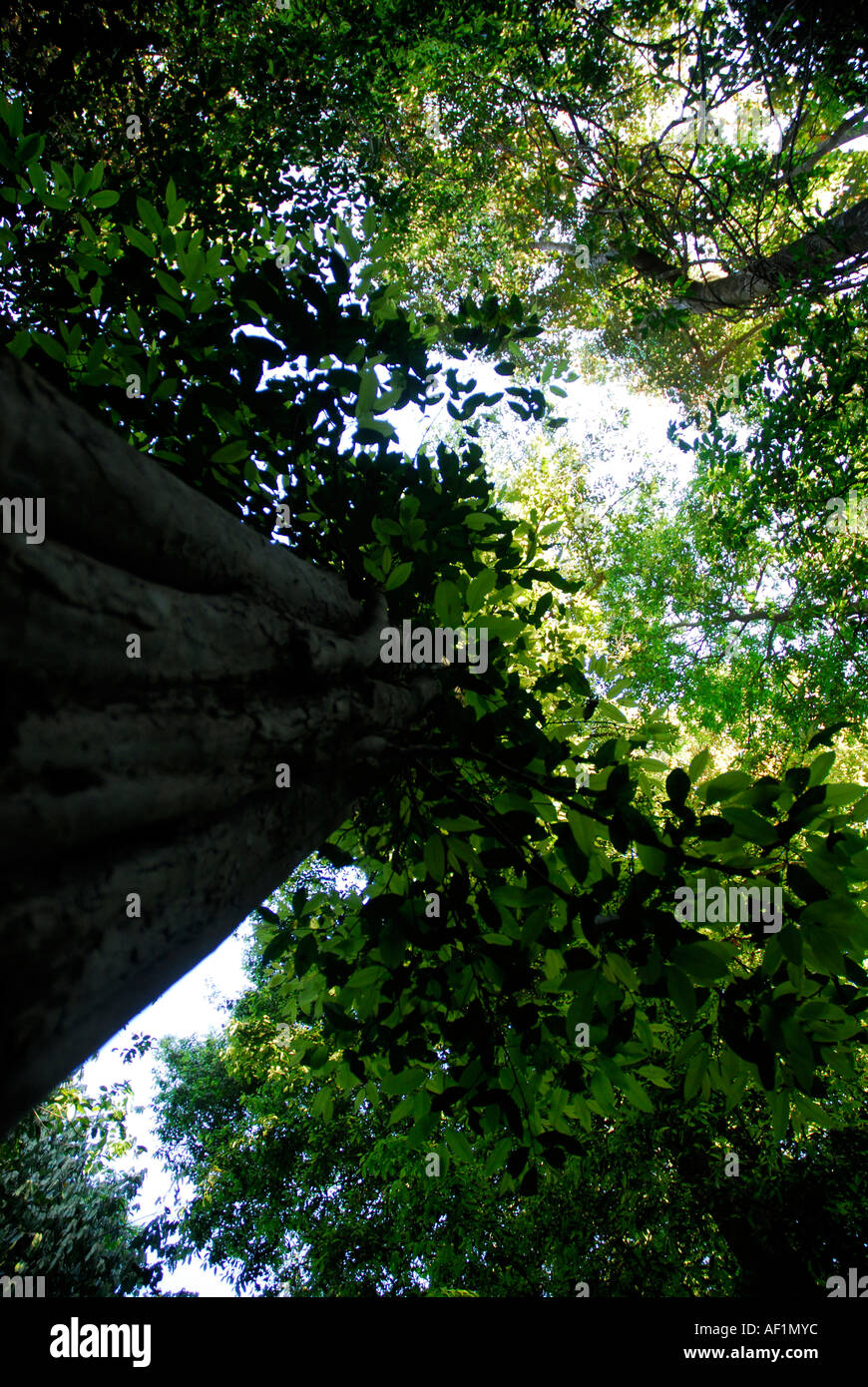 Chimmini wildlife sanctuary hi-res stock photography and images - Alamy