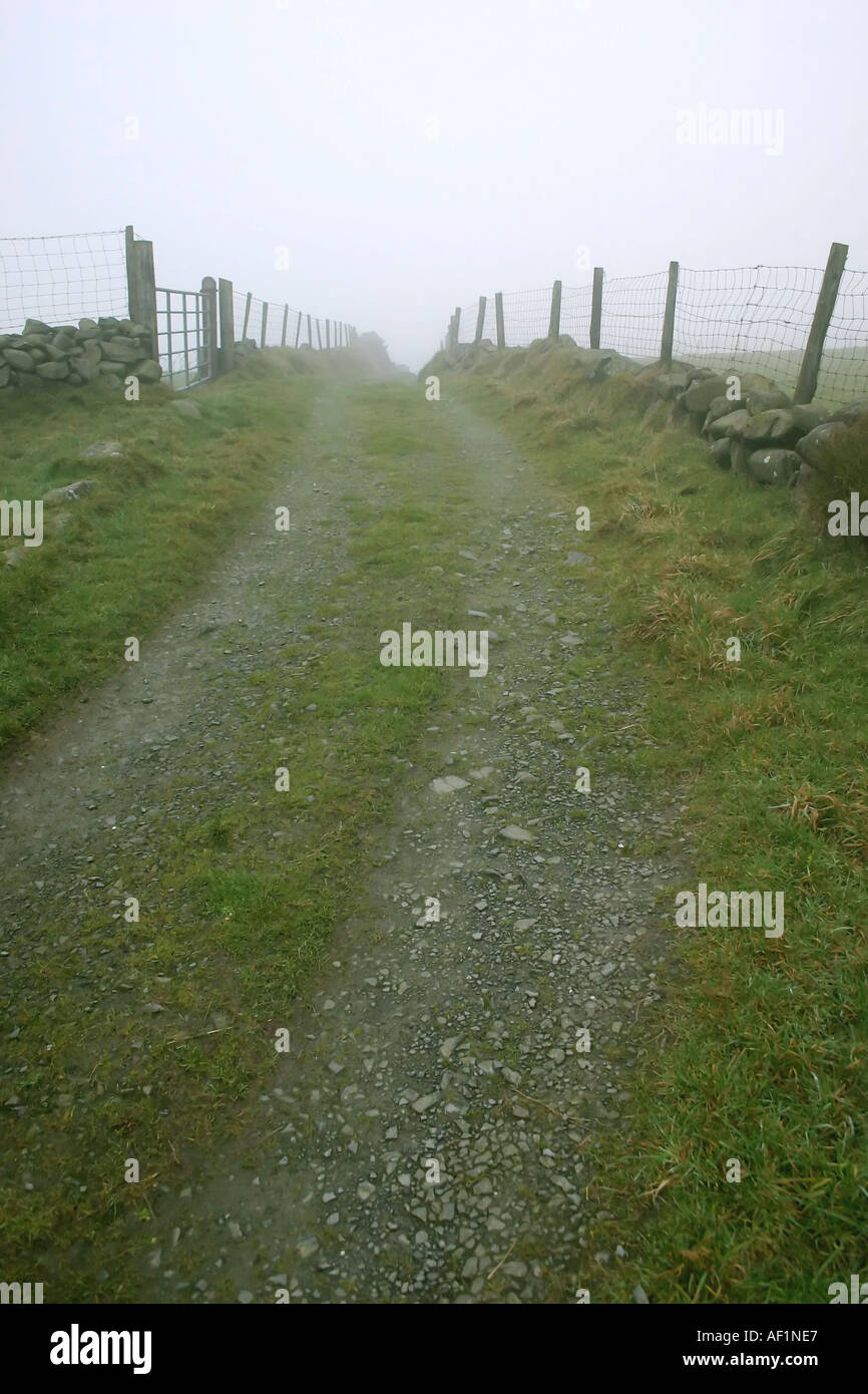 Misty laneway in Ireland Stock Photo - Alamy