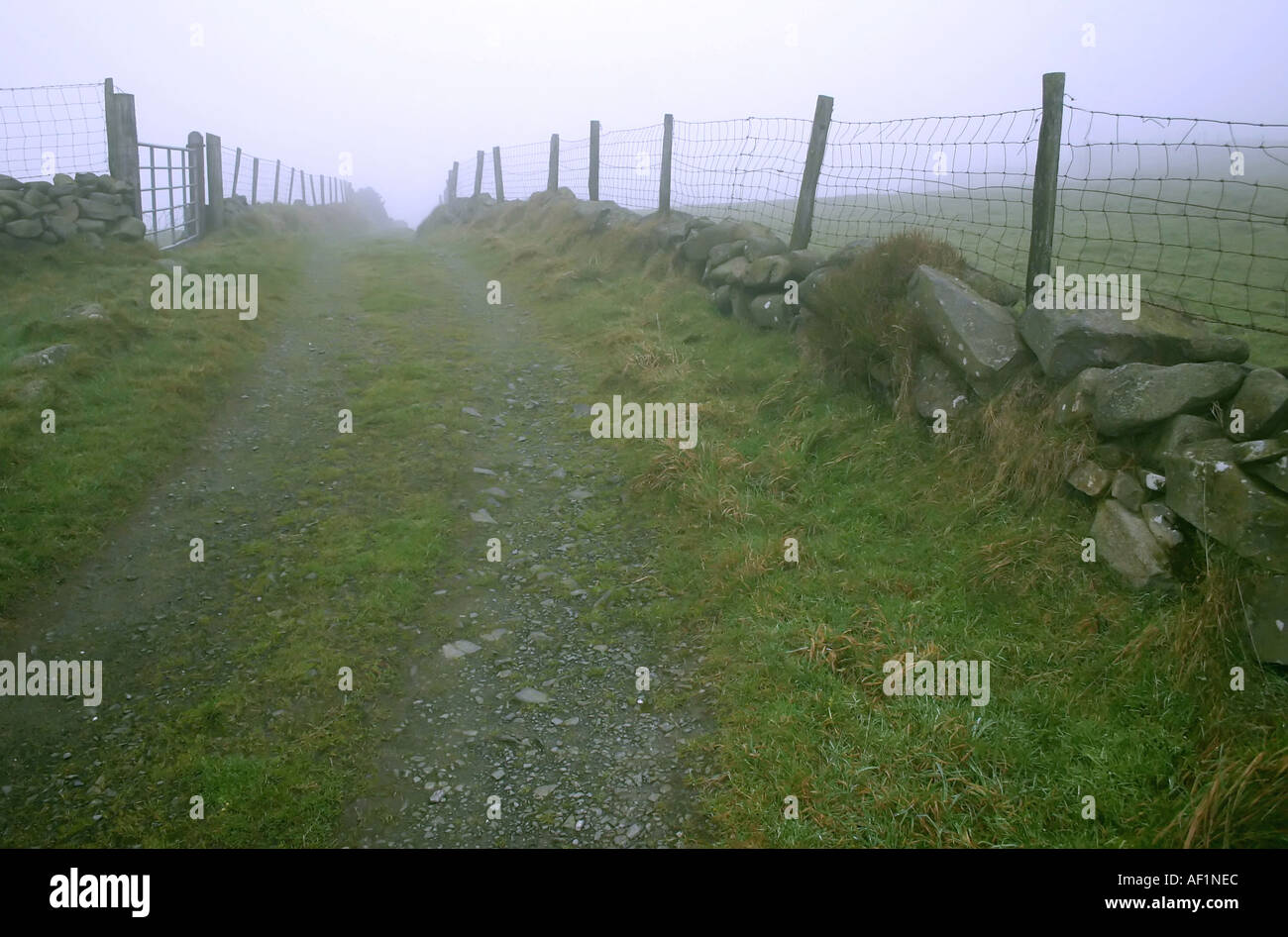 Legananny mountain hi-res stock photography and images - Alamy