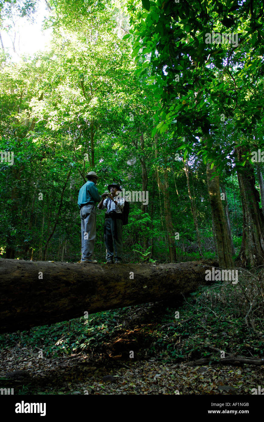 Chimmini wildlife sanctuary hi-res stock photography and images - Alamy