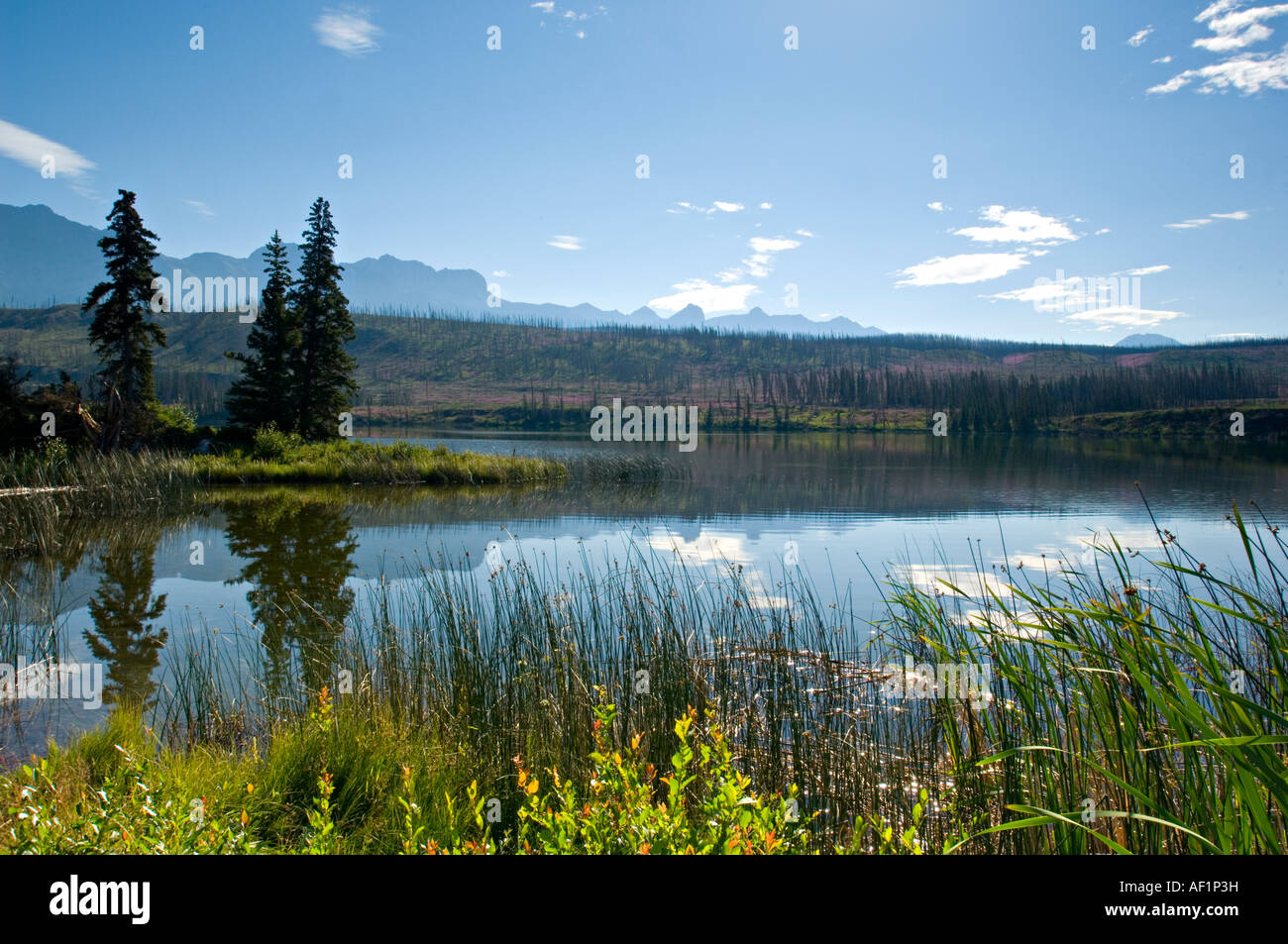 Talbot Lake 30 Stock Photo - Alamy