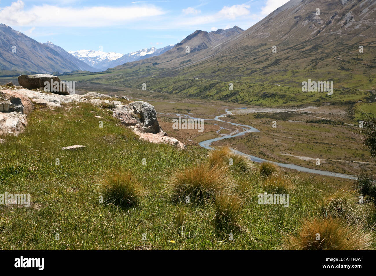 Rocks and alpine grasses on Mount Sunday, looking towards Froude Range ...