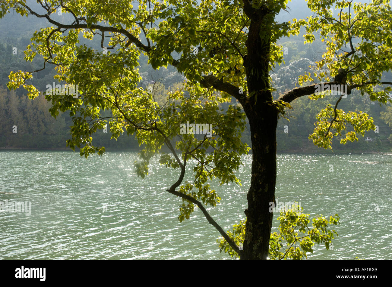 Bhimtal lake hi-res stock photography and images - Alamy