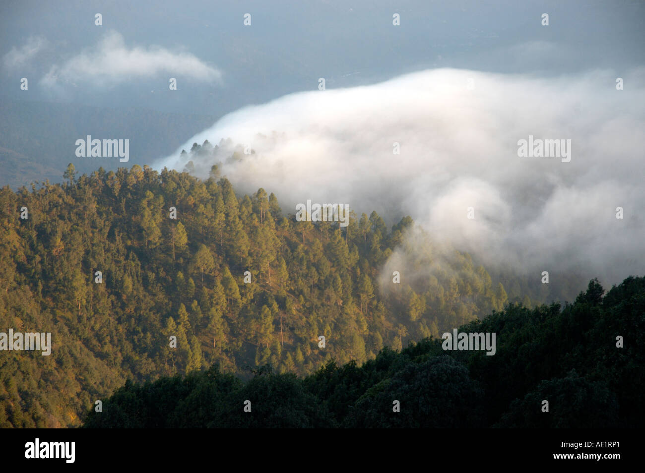 A VIEW OF THE KUMAON RANGES IN HIMALAYAS UTTARANCHAL INDIA Stock Photo ...