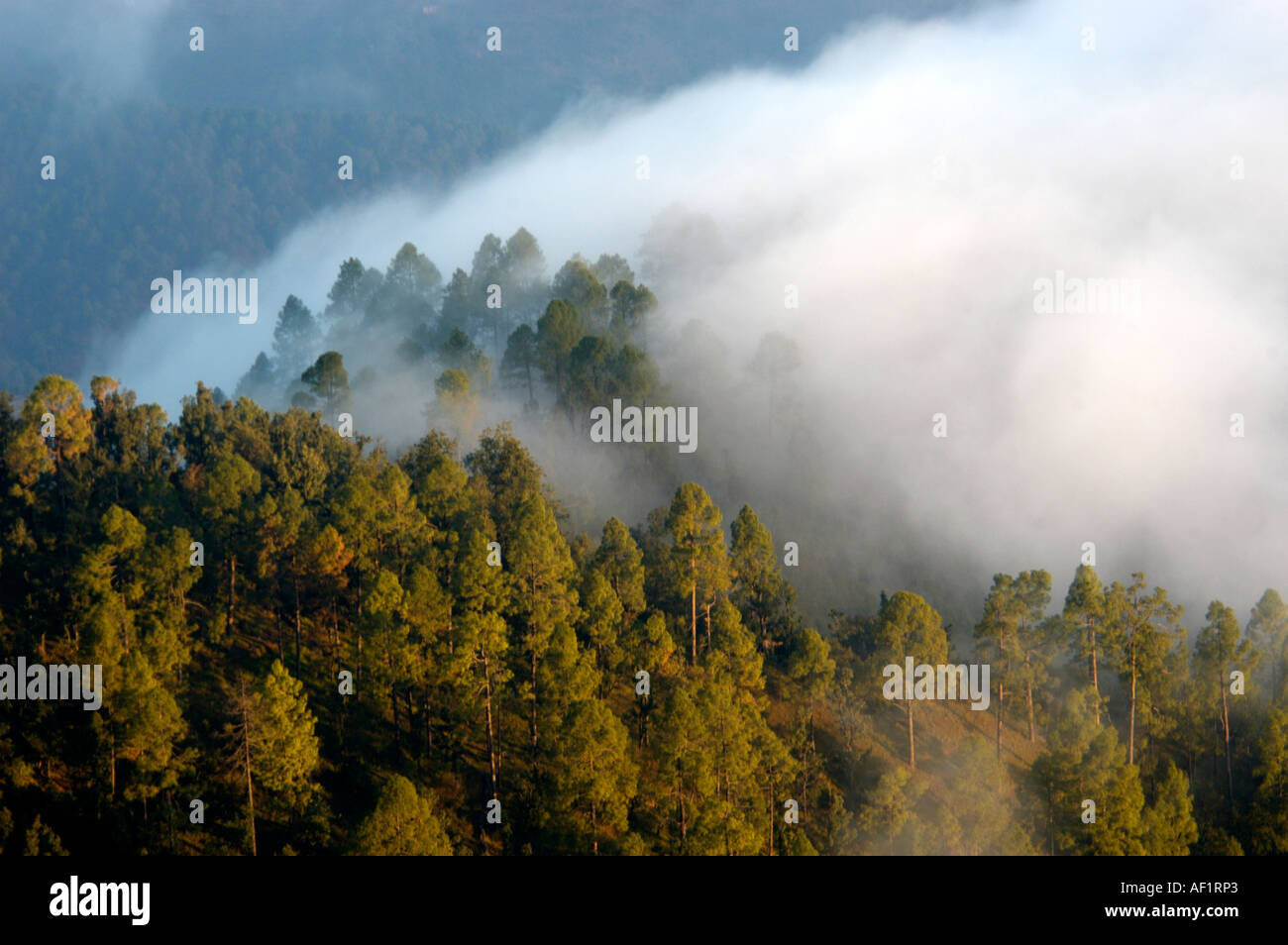 A VIEW OF THE KUMAON RANGES IN HIMALAYAS UTTARANCHAL INDIA Stock Photo ...