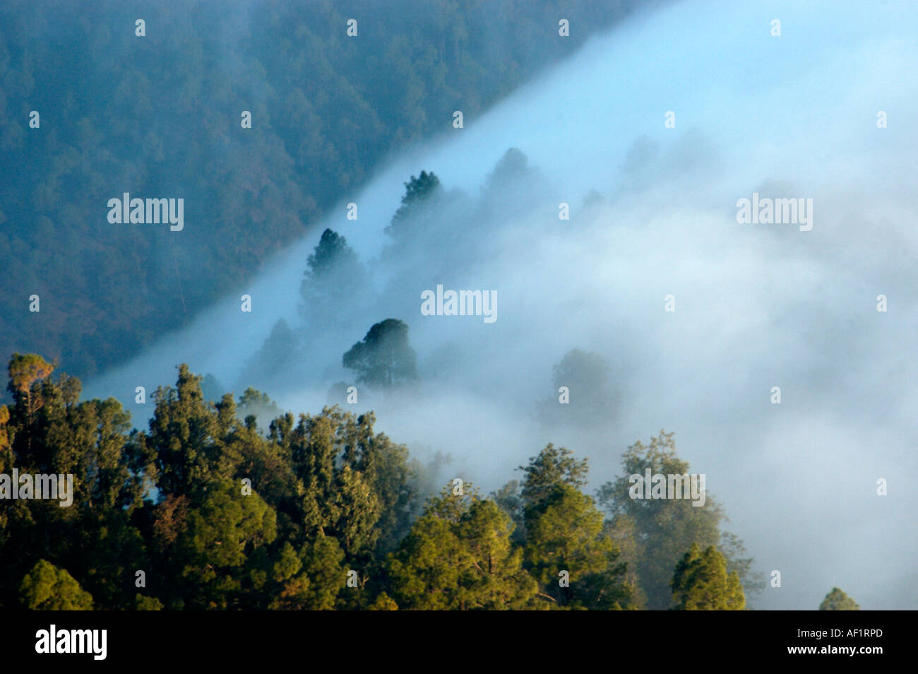 A VIEW OF THE KUMAON RANGES IN HIMALAYAS UTTARANCHAL INDIA Stock Photo ...