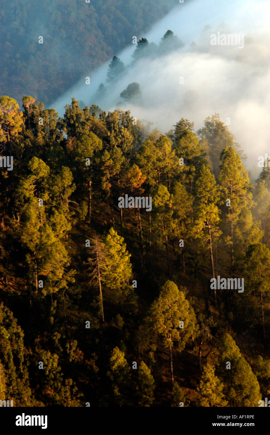 View kumaon ranges in himalayas hi-res stock photography and images - Alamy