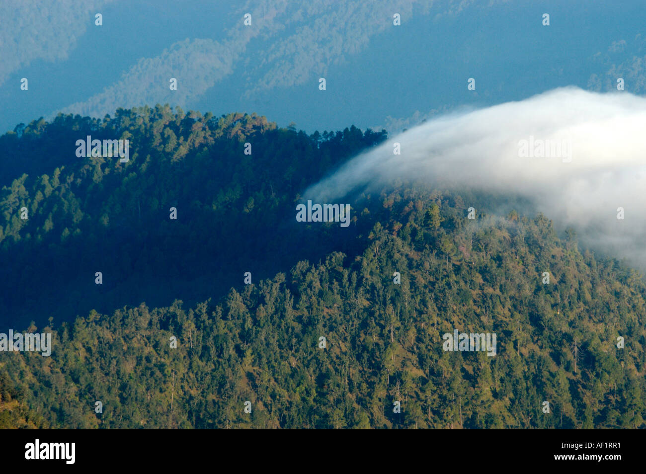 A VIEW OF THE KUMAON RANGES IN HIMALAYAS UTTARANCHAL INDIA Stock Photo ...