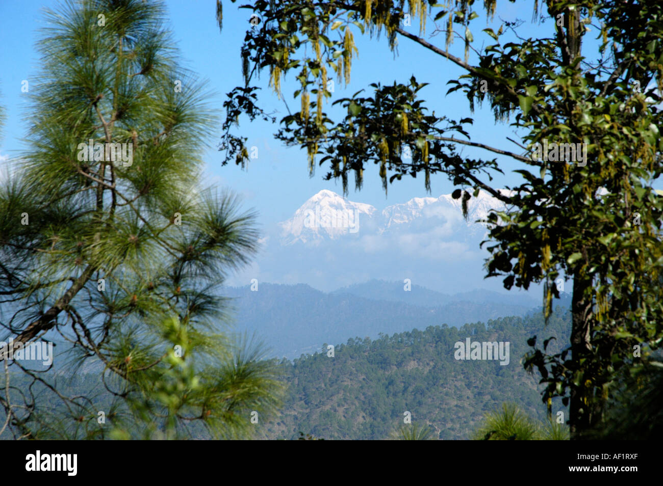 Kumaon ranges hi-res stock photography and images - Alamy