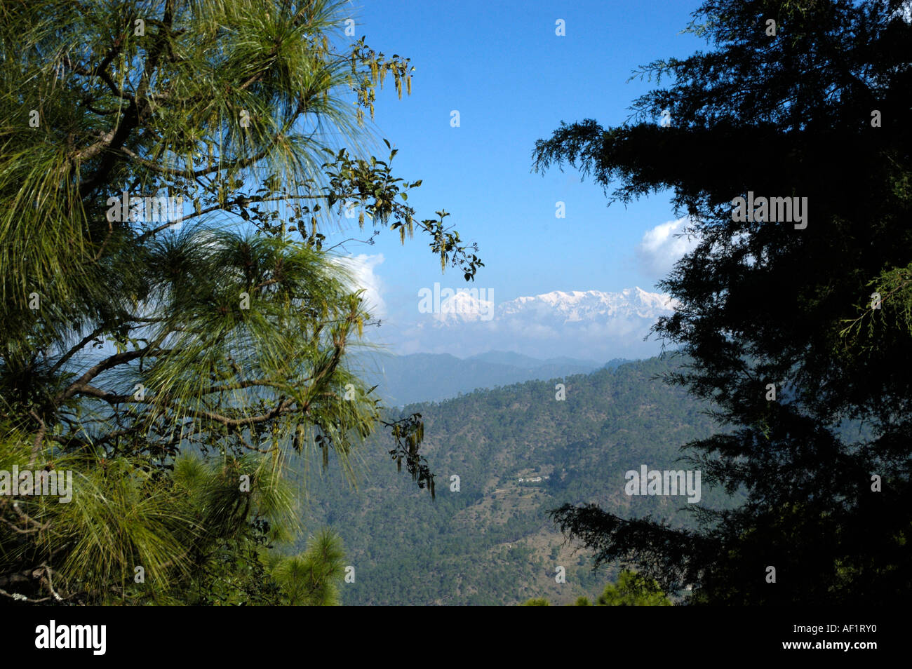 A VIEW OF THE KUMAON RANGES IN HIMALAYAS UTTARANCHAL INDIA Stock Photo ...