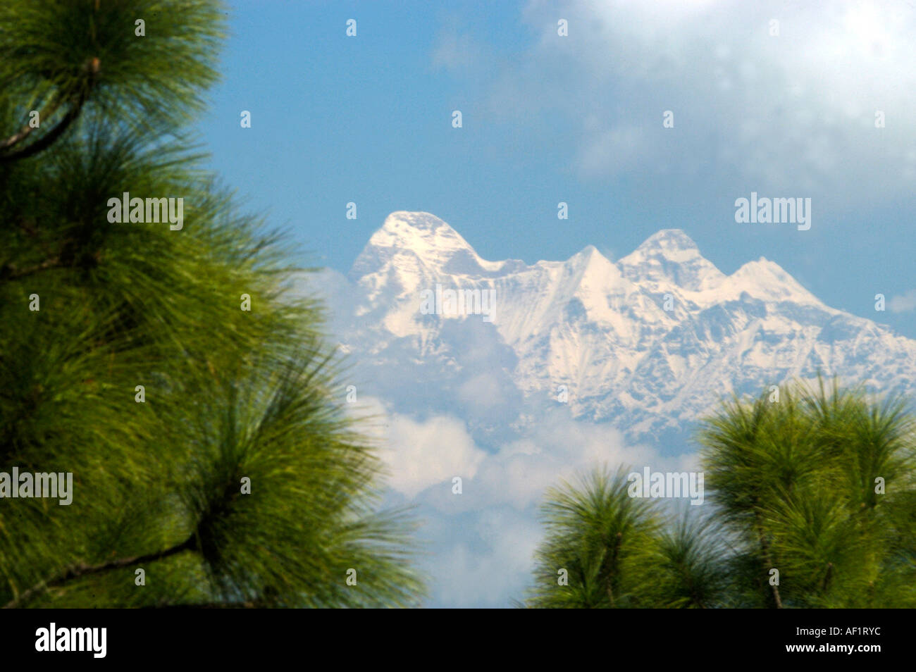 A VIEW OF THE KUMAON RANGES IN HIMALAYAS UTTARANCHAL INDIA Stock Photo ...
