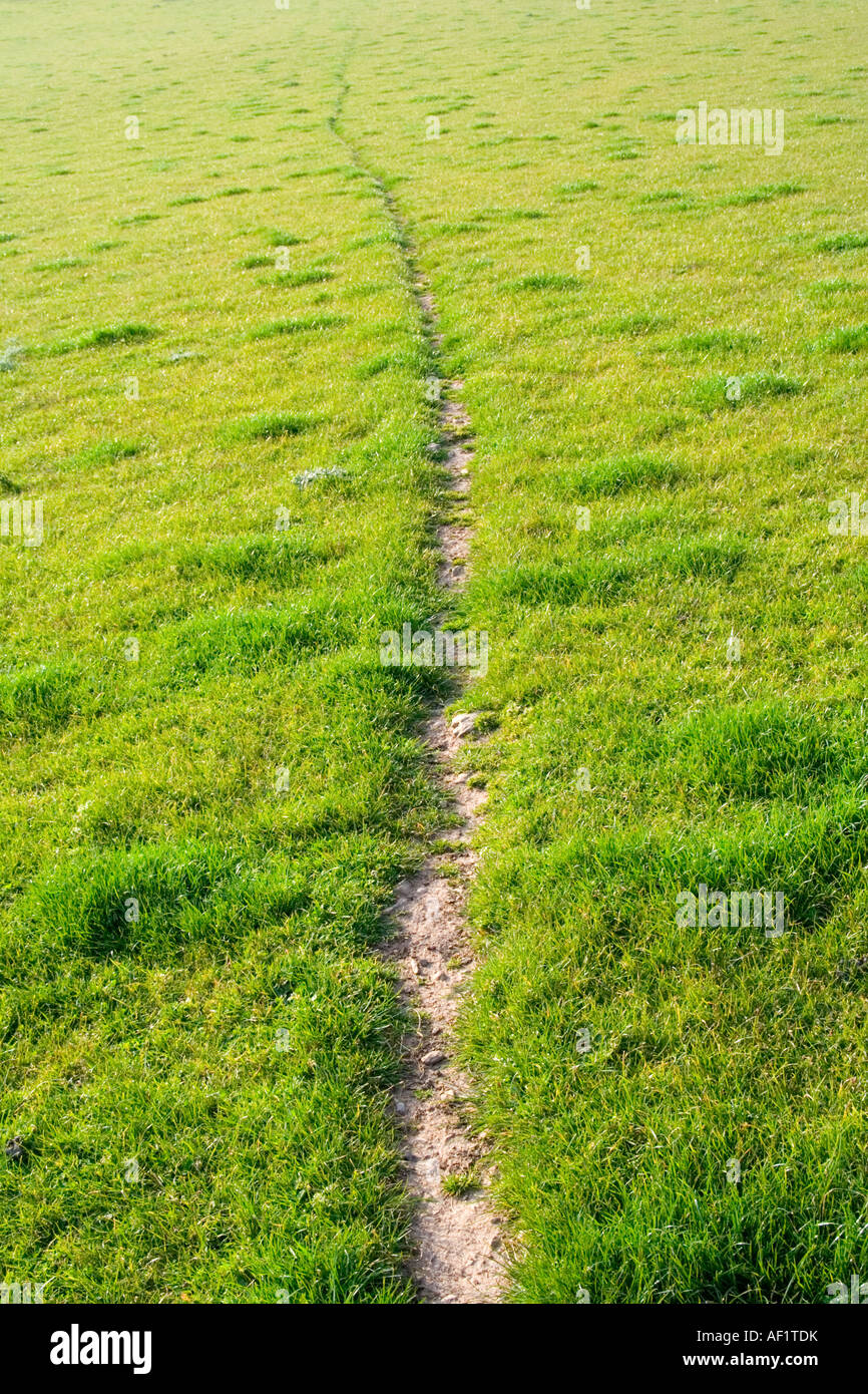 track or path across farmland Stock Photo - Alamy