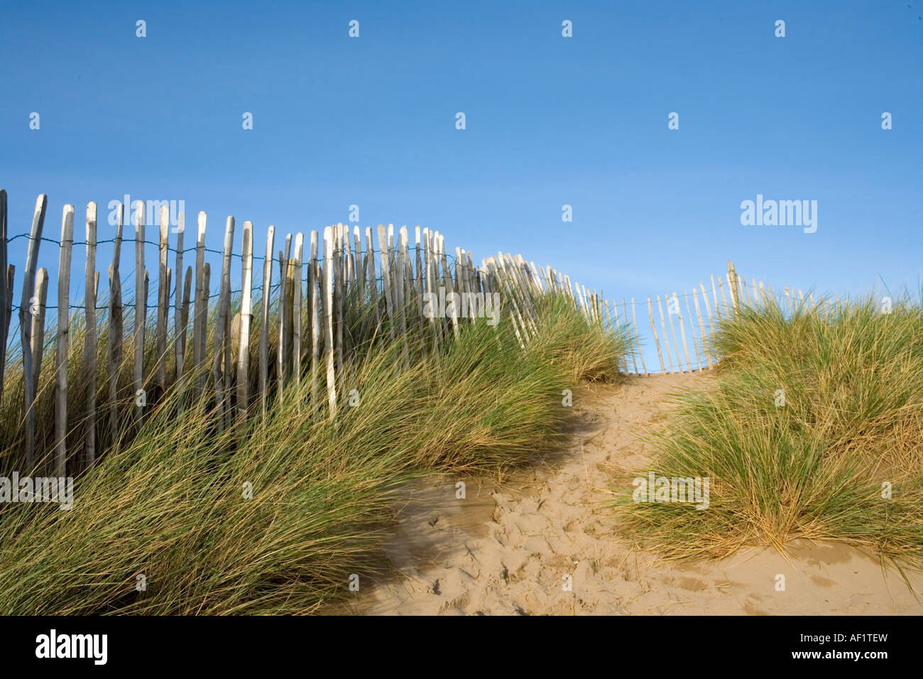 Sand dunes at Bigbury Bay Devon UK Stock Photo - Alamy