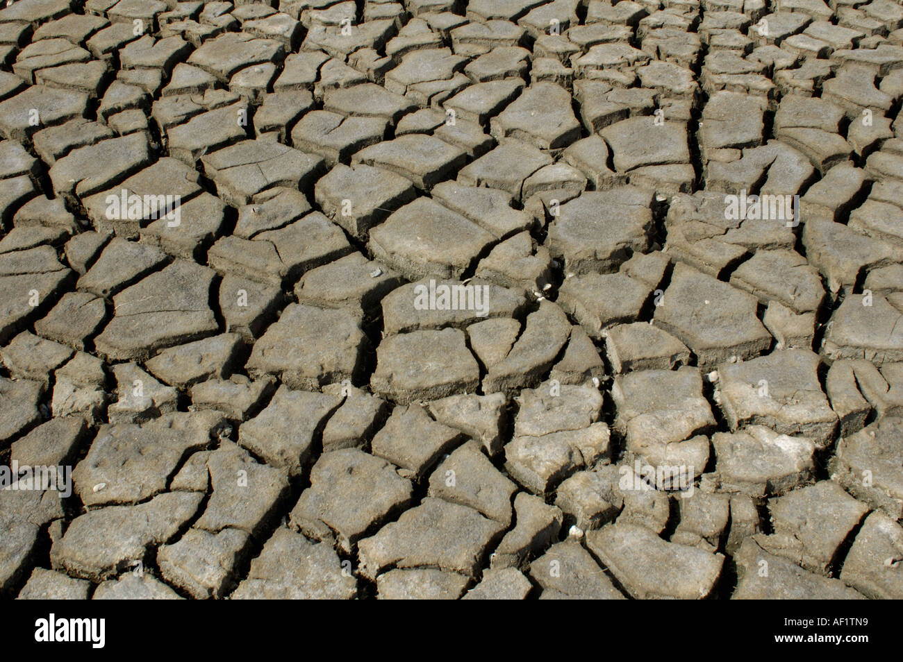 Dried mud on a bank of a river Stock Photo - Alamy