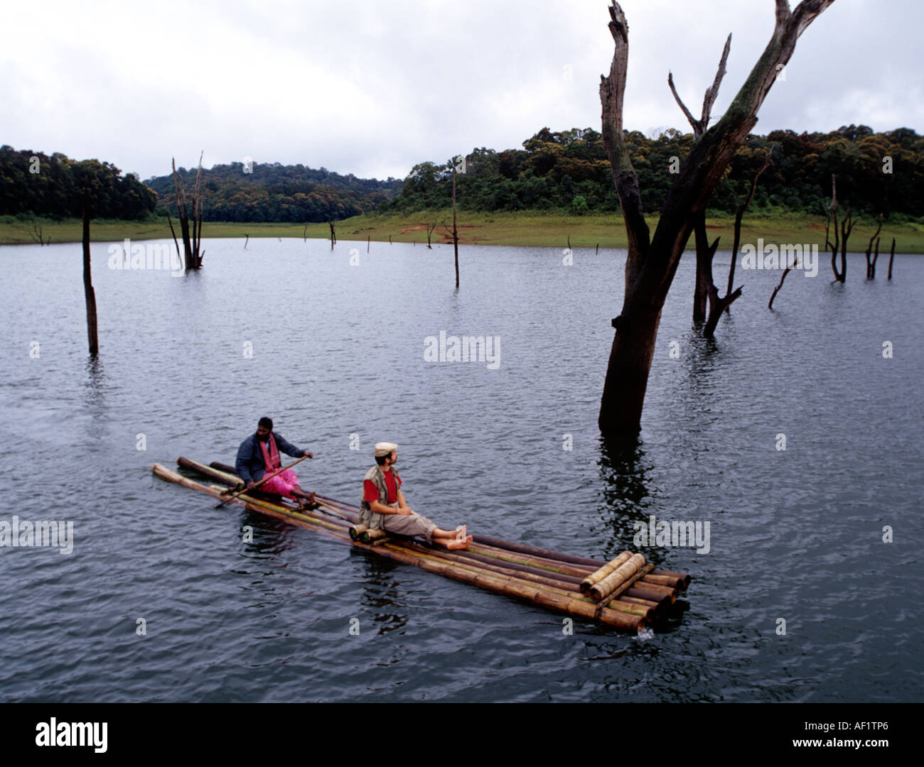 Bamboo drifting hi-res stock photography and images - Alamy