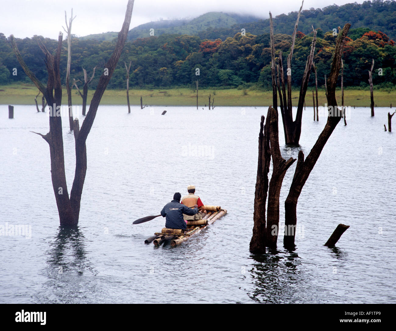 Bamboo drifting hi-res stock photography and images - Alamy