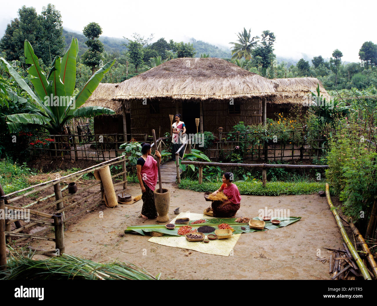DRYING SPICES IN TRIBAL VILLAGE KUMILY Stock Photo - Alamy