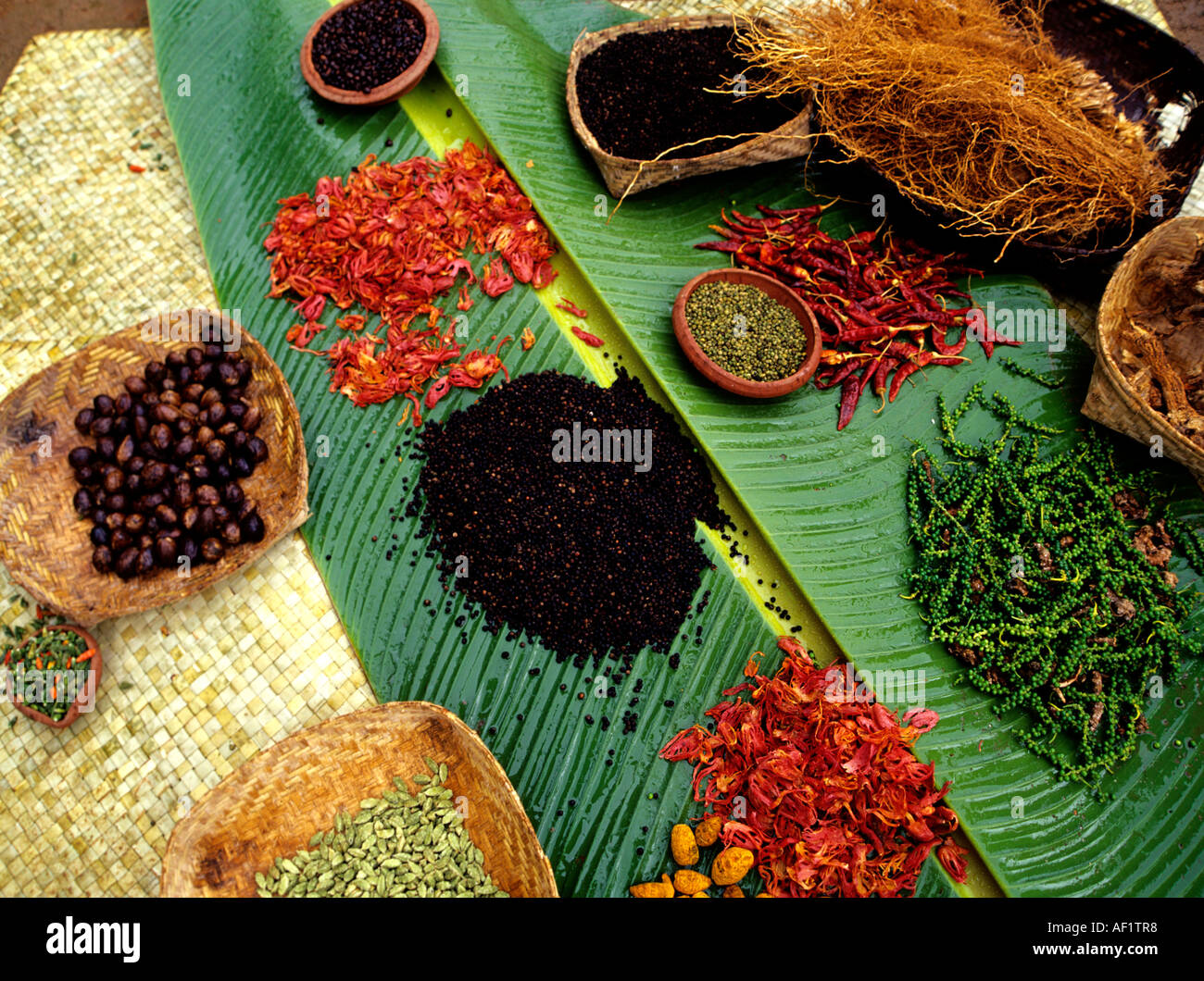 DRYING SPICES IN TRIBAL VILLAGE KUMILY Stock Photo - Alamy