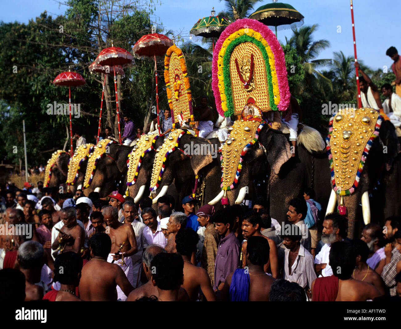 Pooram decorated elephant hi-res stock photography and images - Alamy