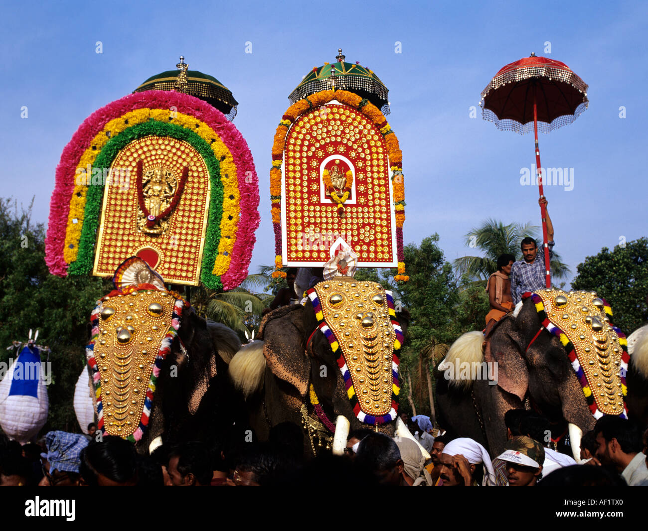 Pooram decorated elephant hi-res stock photography and images - Alamy