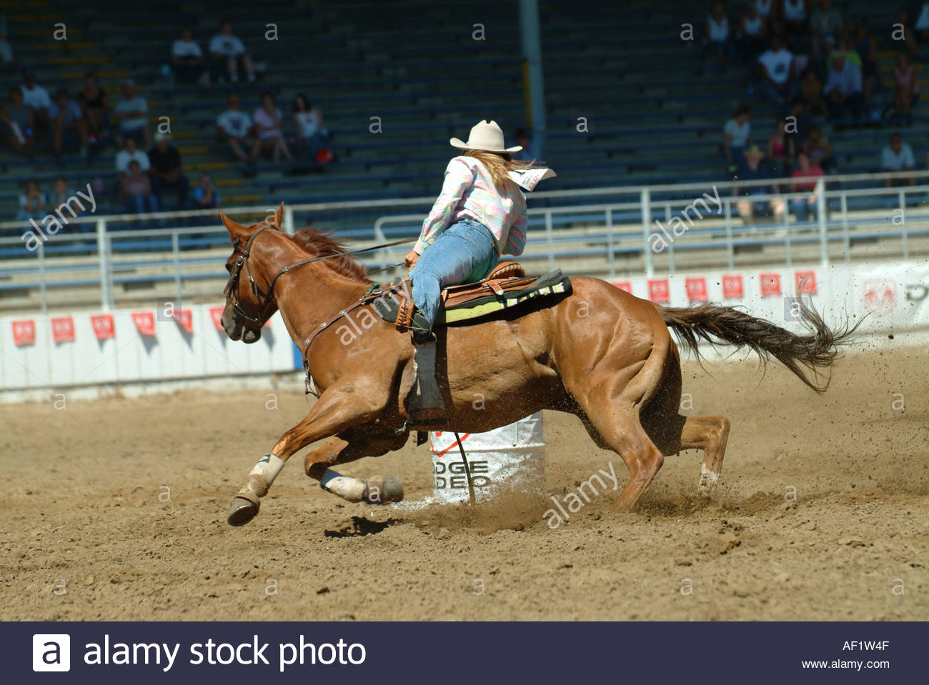 Cowgirl Barrel Racer Stock Photos & Cowgirl Barrel Racer Stock Images ...