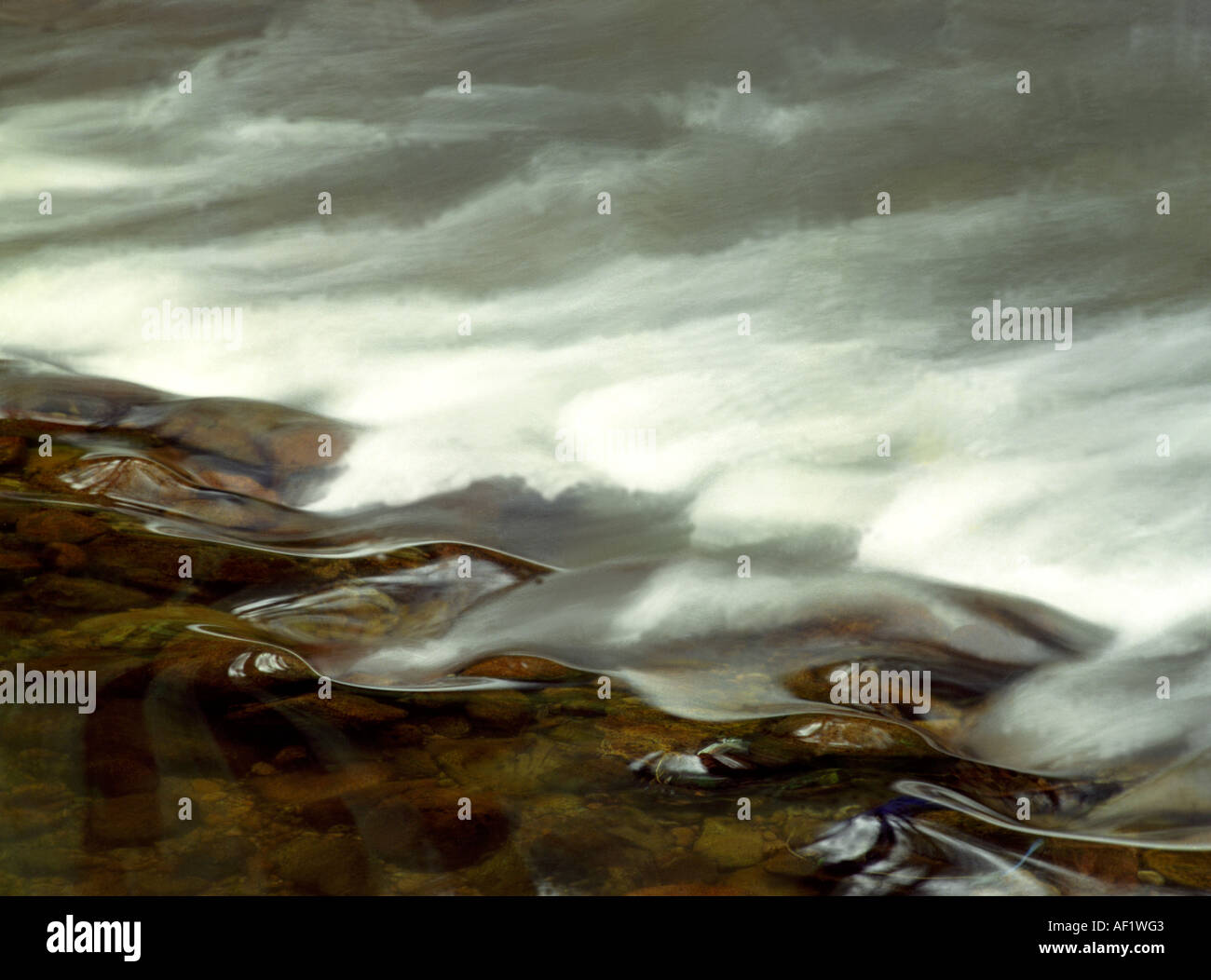 RAPIDS FORMED IN THE JUNGLE STREAM KERALA Stock Photo - Alamy