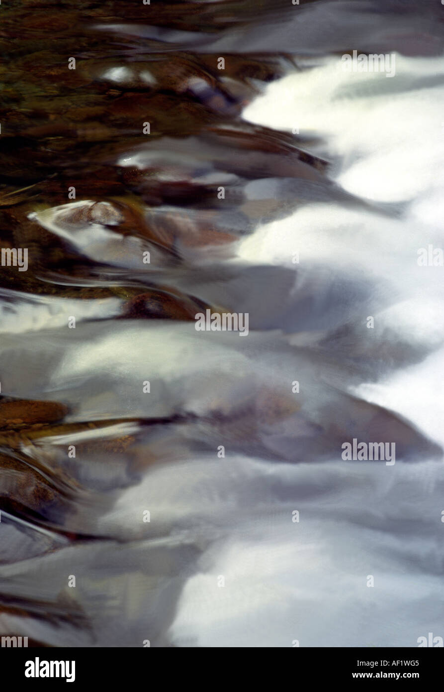 RAPIDS FORMED IN THE JUNGLE STREAM KERALA Stock Photo - Alamy