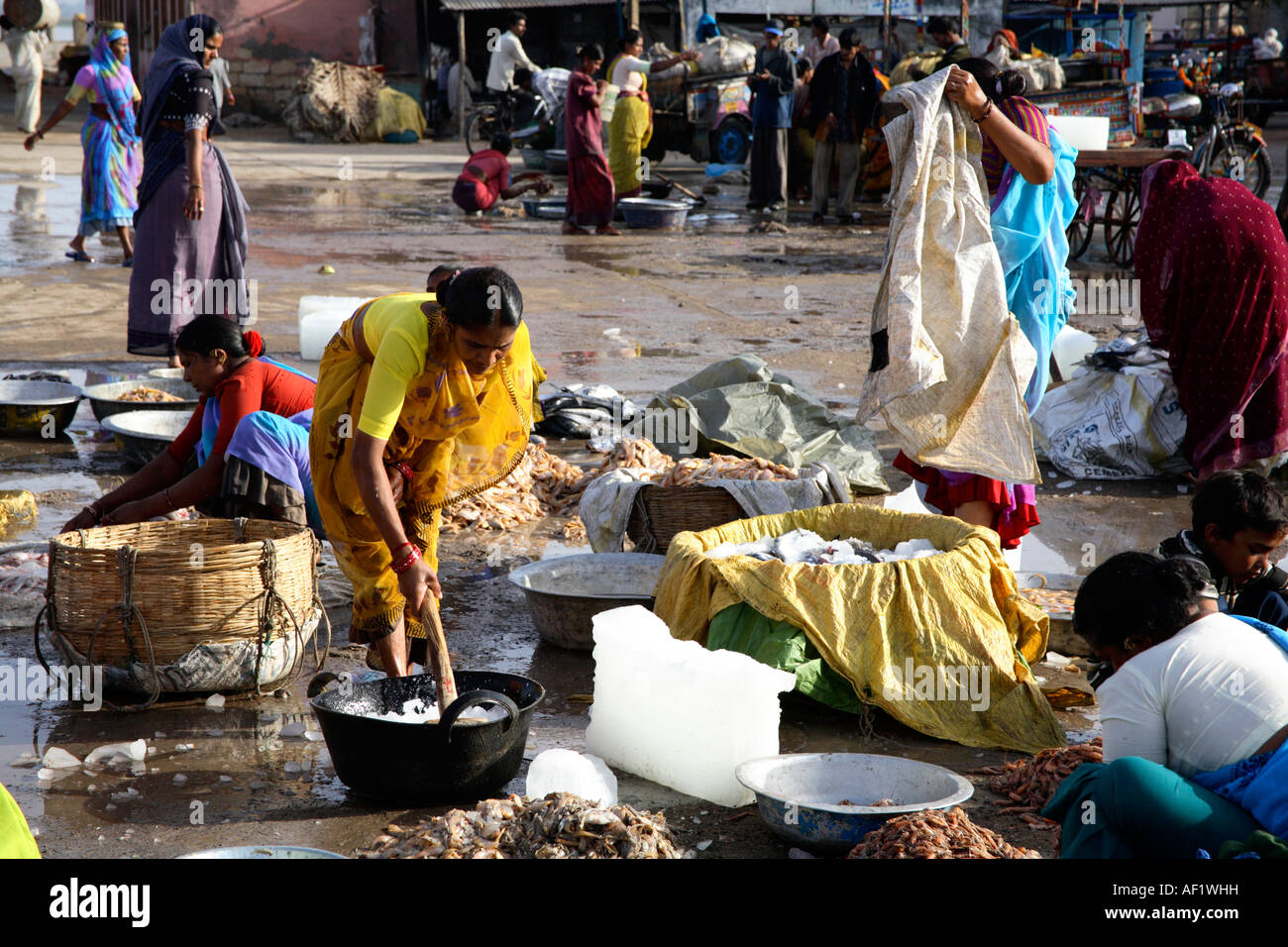Indian female breaking ice to pack fish, Vanakbara Fishing Village, Diu ...